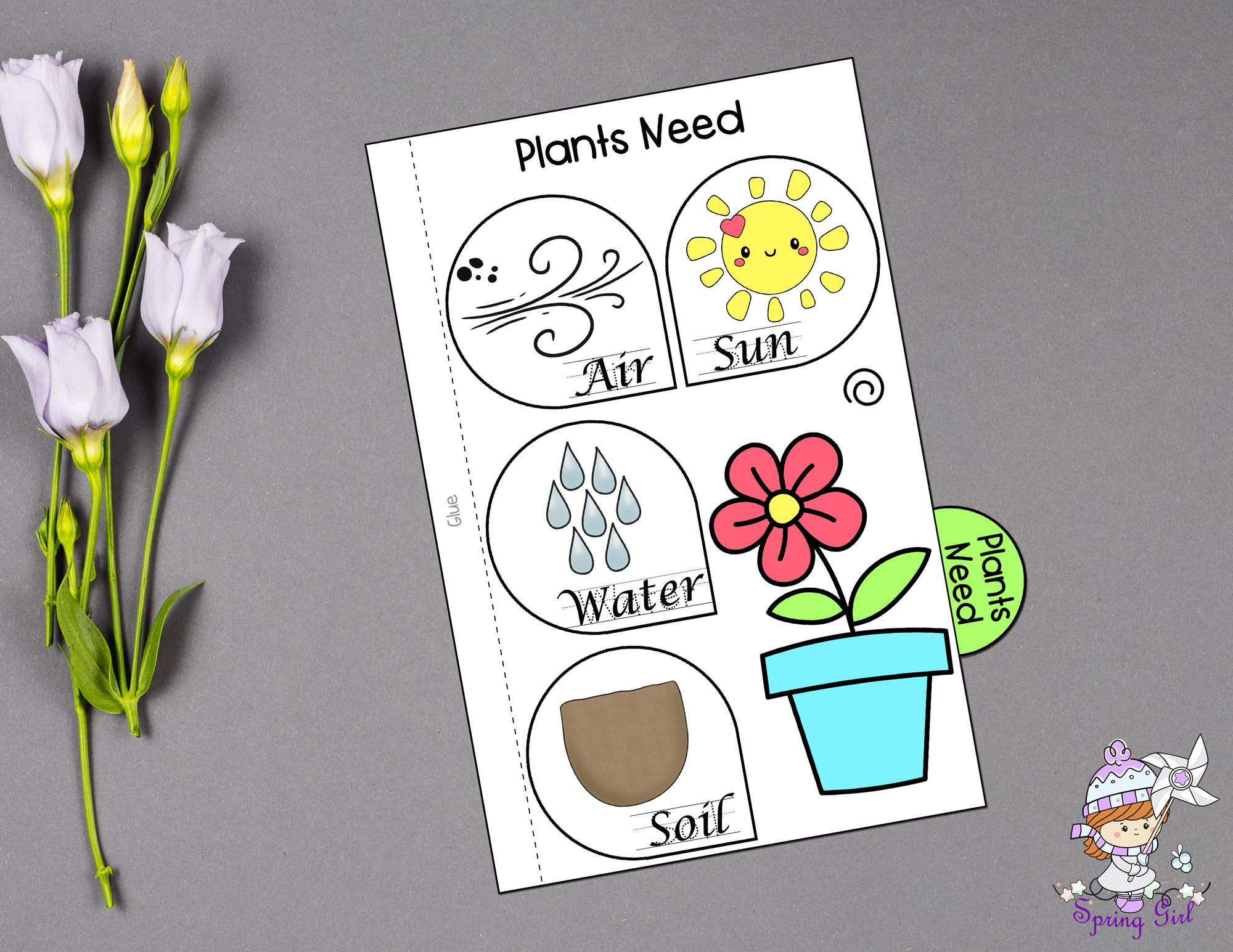Life Cycle of a Plant | Parts of a Plant | Plant Activity Unit ...
