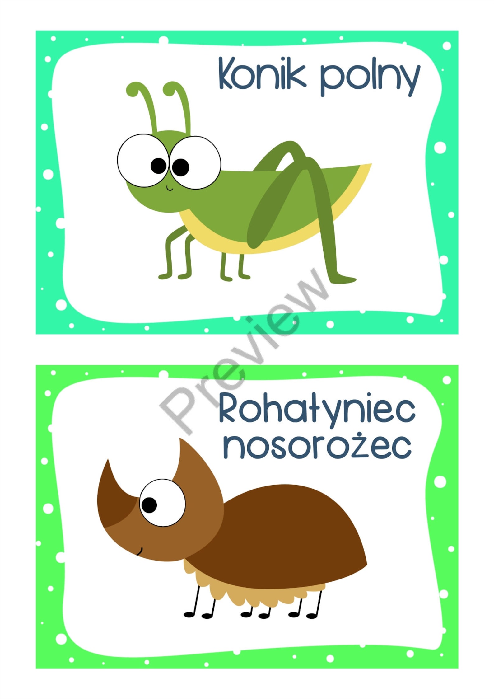 Polish Bugs Flash Cards | Owady Po-polsku | Polish Insects Printable ...