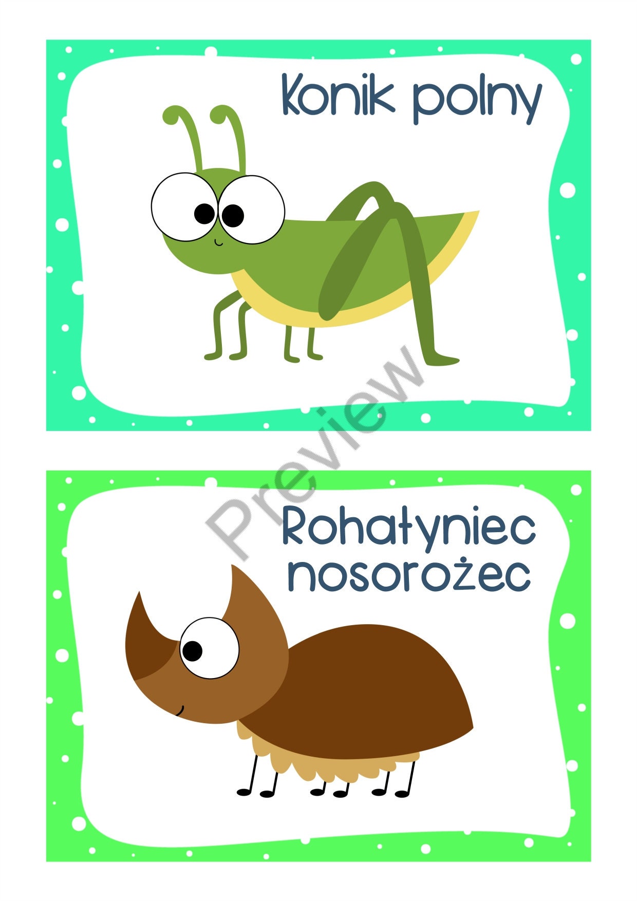 Polish Bugs Flash Cards | Owady Po-polsku | Polish Insects Printable ...