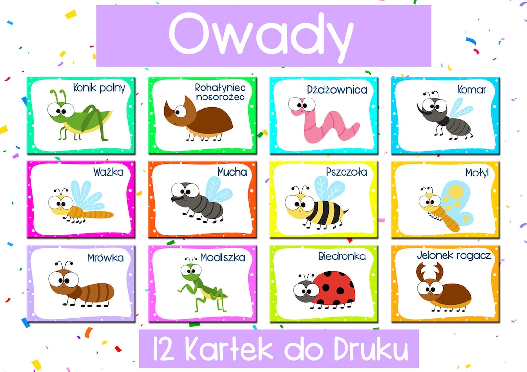 Polish Bugs Flash Cards | Owady Po-polsku | Polish Insects Printable ...