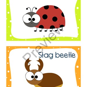 Bugs Printable Flash Cards | Insects Instant Download Flashcards | PDF ...