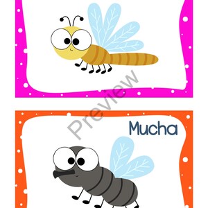 Polish Bugs Flash Cards | Owady Po-polsku | Polish Insects Printable ...