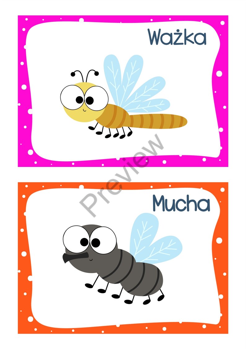 Polish Bugs Flash Cards | Owady Po-polsku | Polish Insects Printable | Polish Worksheets for ...