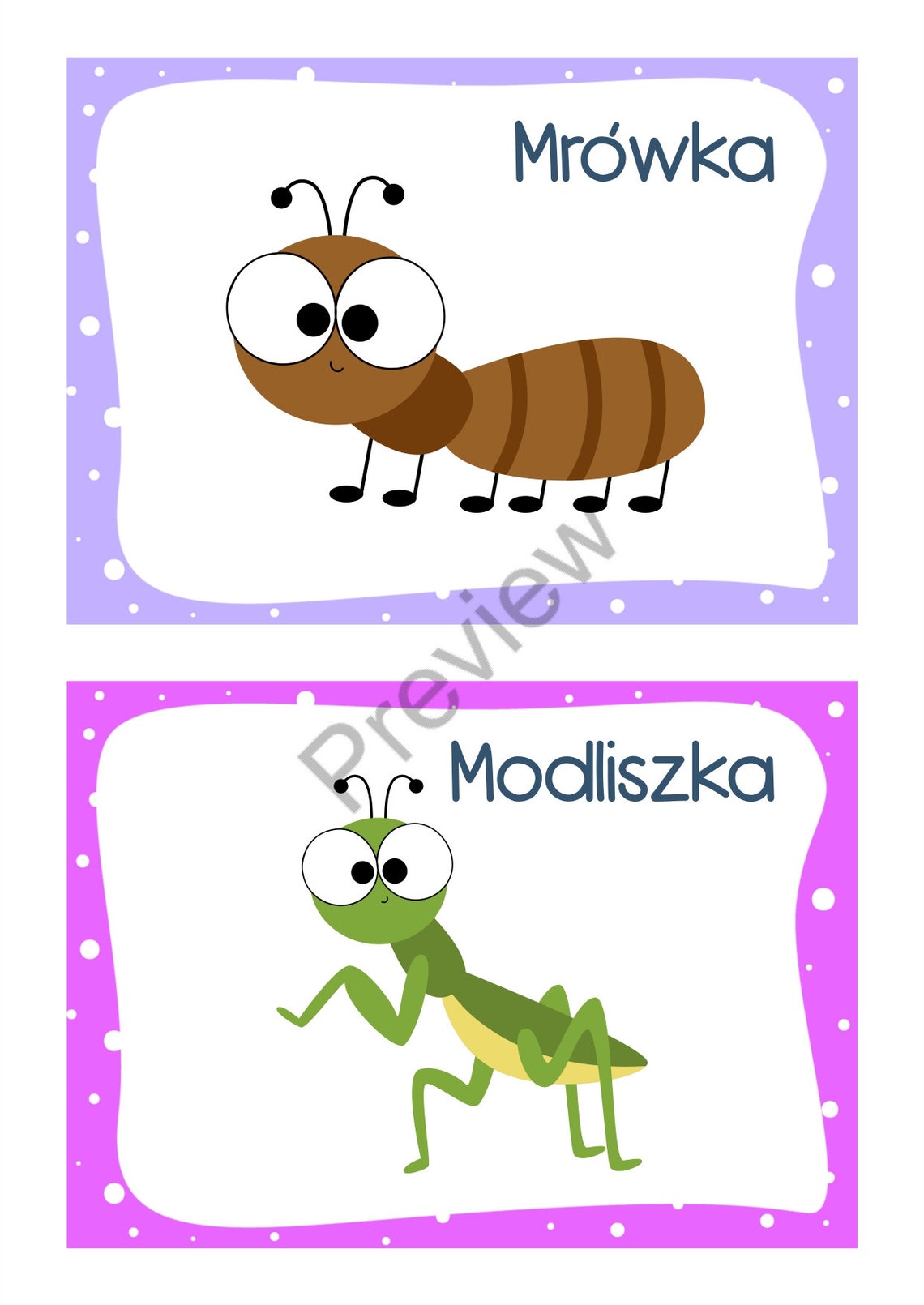 Polish Bugs Flash Cards | Owady Po-polsku | Polish Insects Printable ...