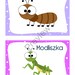 Polish Bugs Flash Cards Owady Po-polsku Polish Insects Printable Polish ...