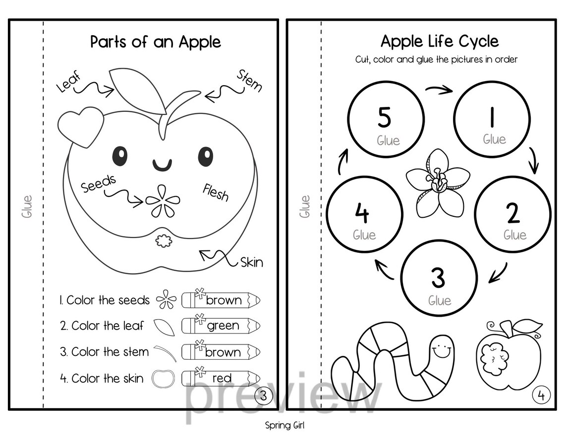 Apple Life Cycle Mini Book Apple Day Lesson Unit Apple Unit Study Fall ...