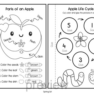 Apple Life Cycle Mini Book | Apple Day Lesson Unit | Apple Unit Study ...