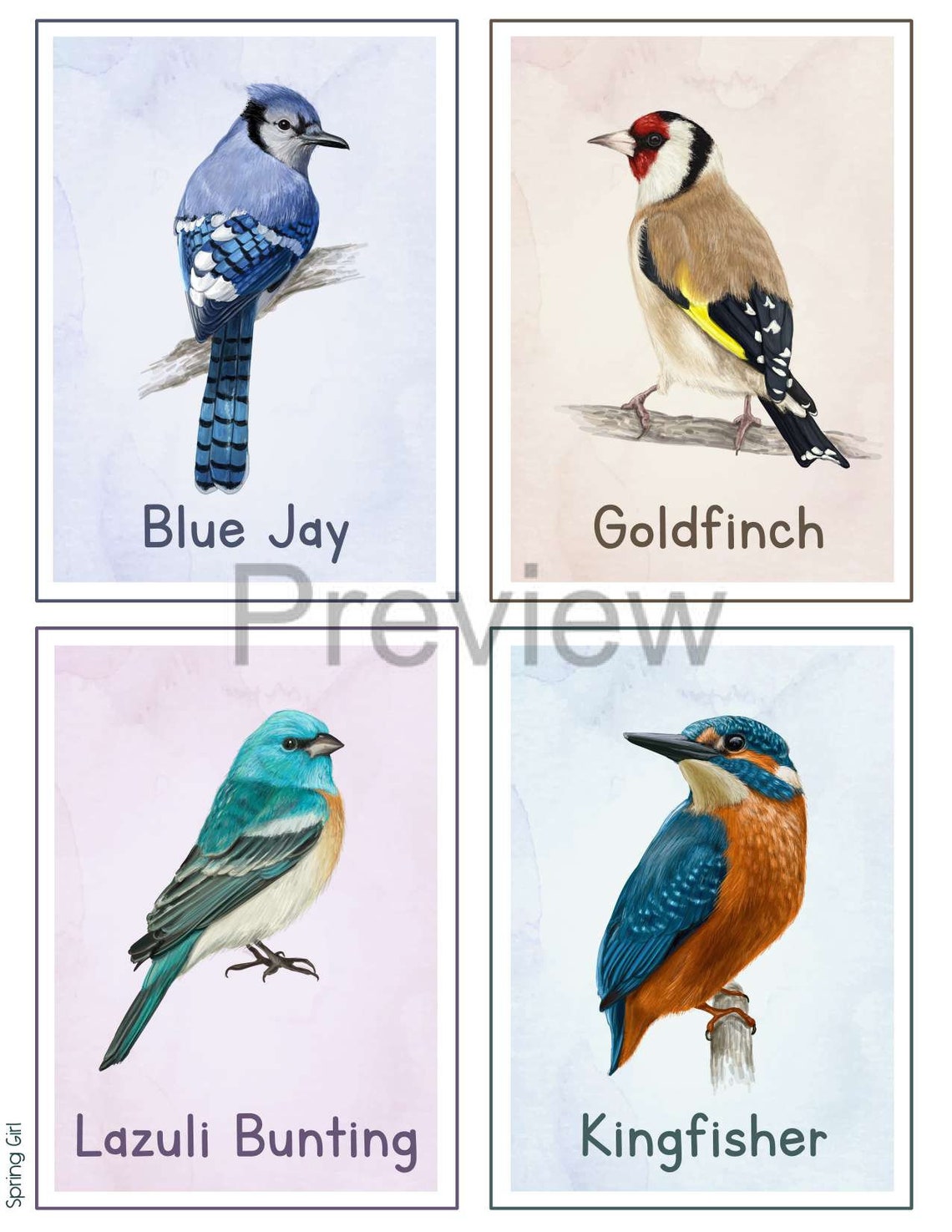 Birds Flash Cards Printable Montessori Cards Nomenclature Cards Nature ...