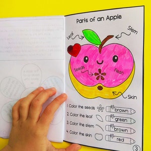 Apple Life Cycle Mini Book | Apple Day Lesson Unit | Apple Unit Study ...