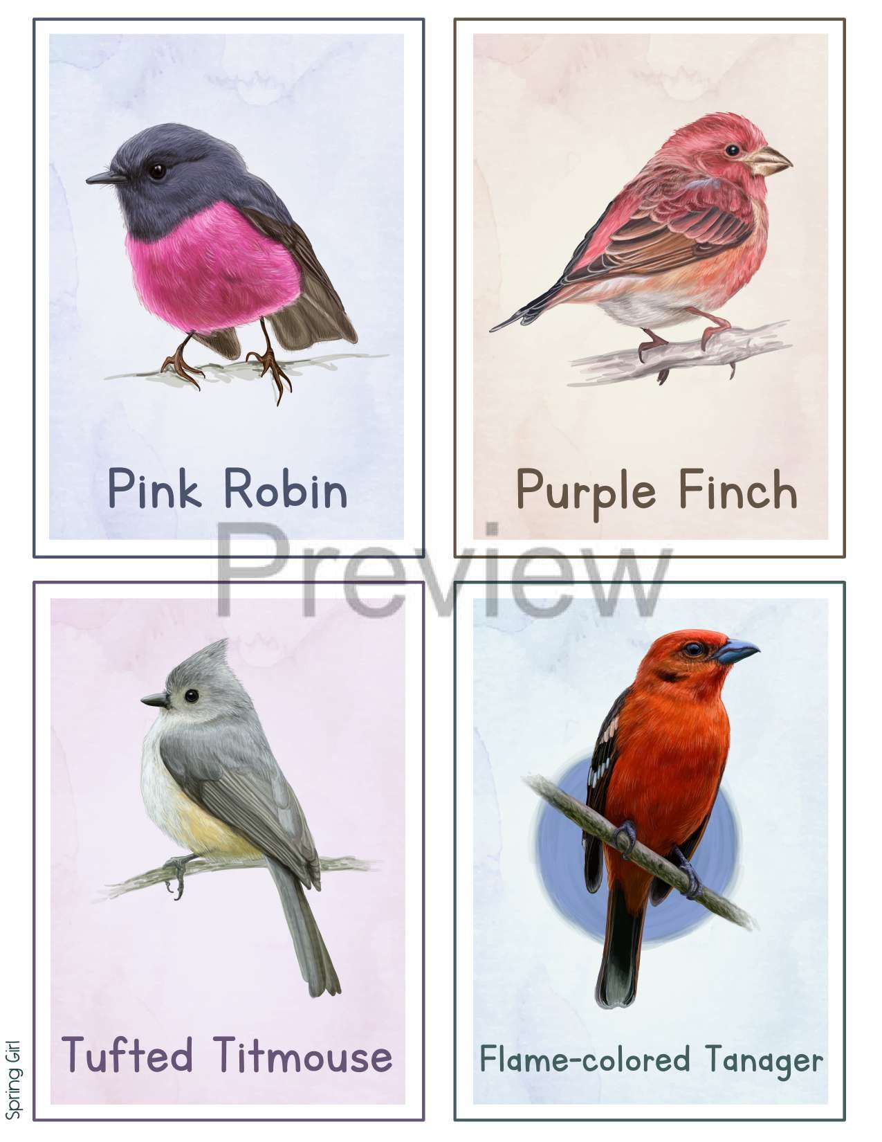 Birds Flash Cards Printable • Montessori Cards • Nomenclature Cards ...