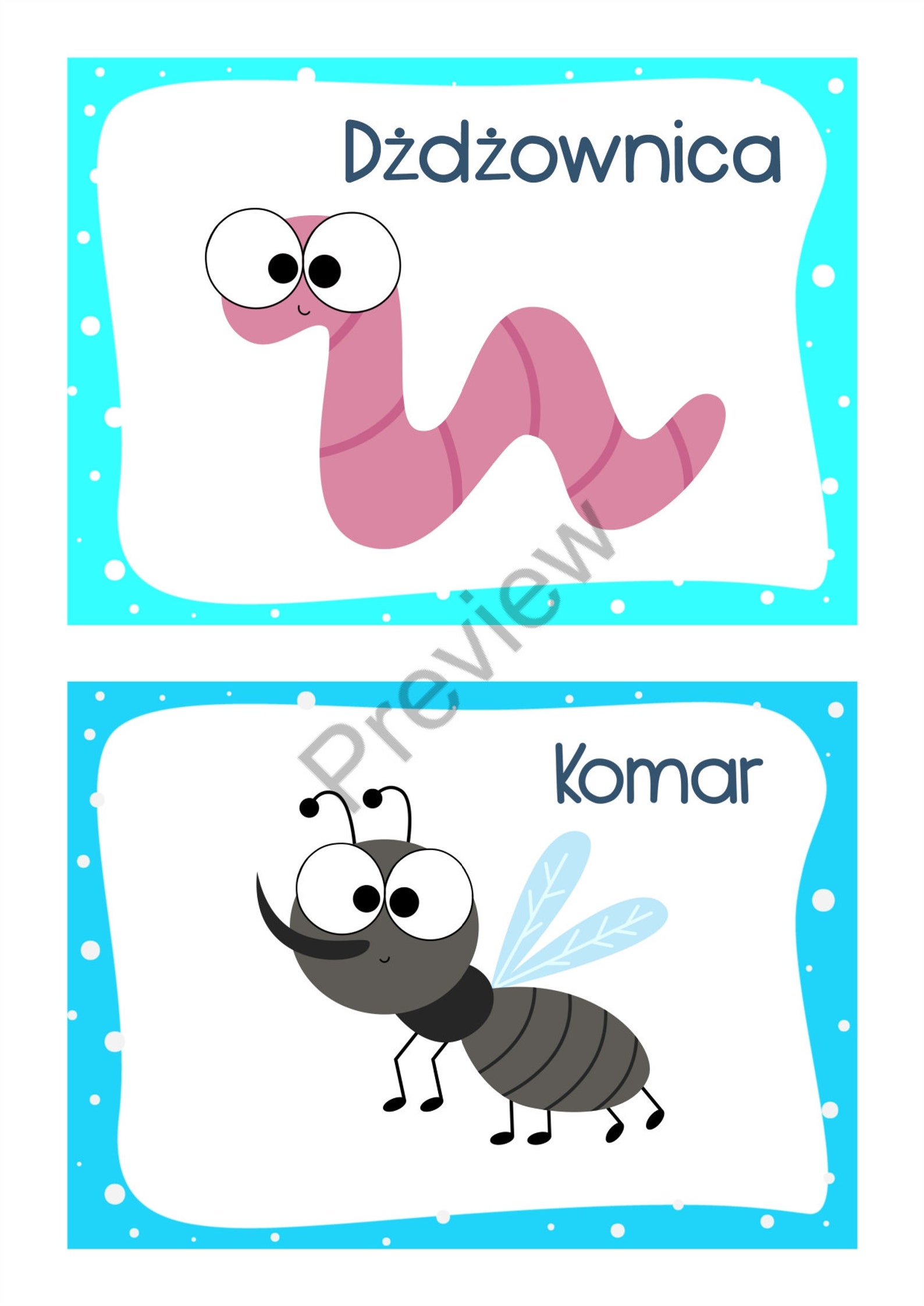 Polish Bugs Flash Cards | Owady Po-polsku | Polish Insects Printable ...