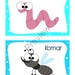 Polish Bugs Flash Cards | Owady Po-polsku | Polish Insects Printable ...