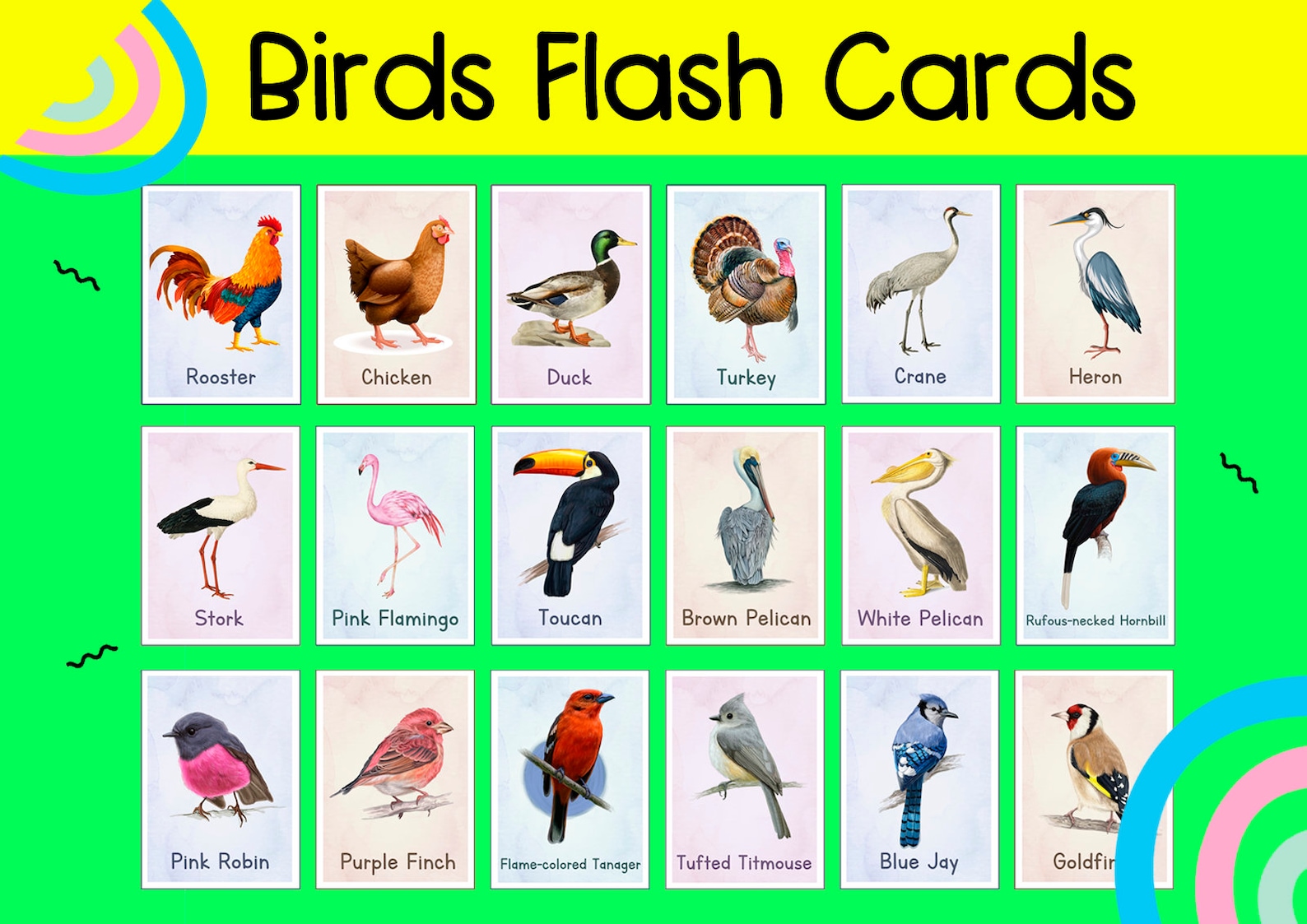 Birds Flash Cards Printable • Montessori Cards • Nomenclature Cards ...