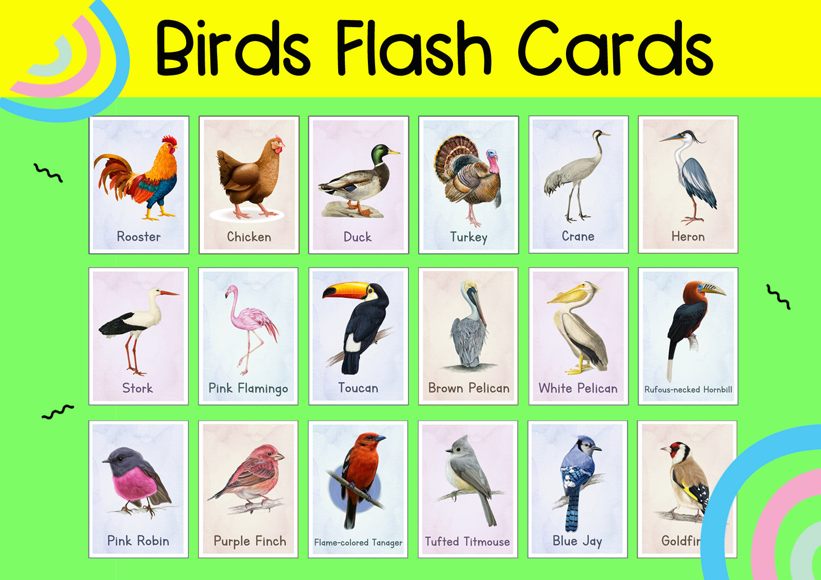 18 Free Wild Birds Flashcards In English Pdf Files Animals Theme