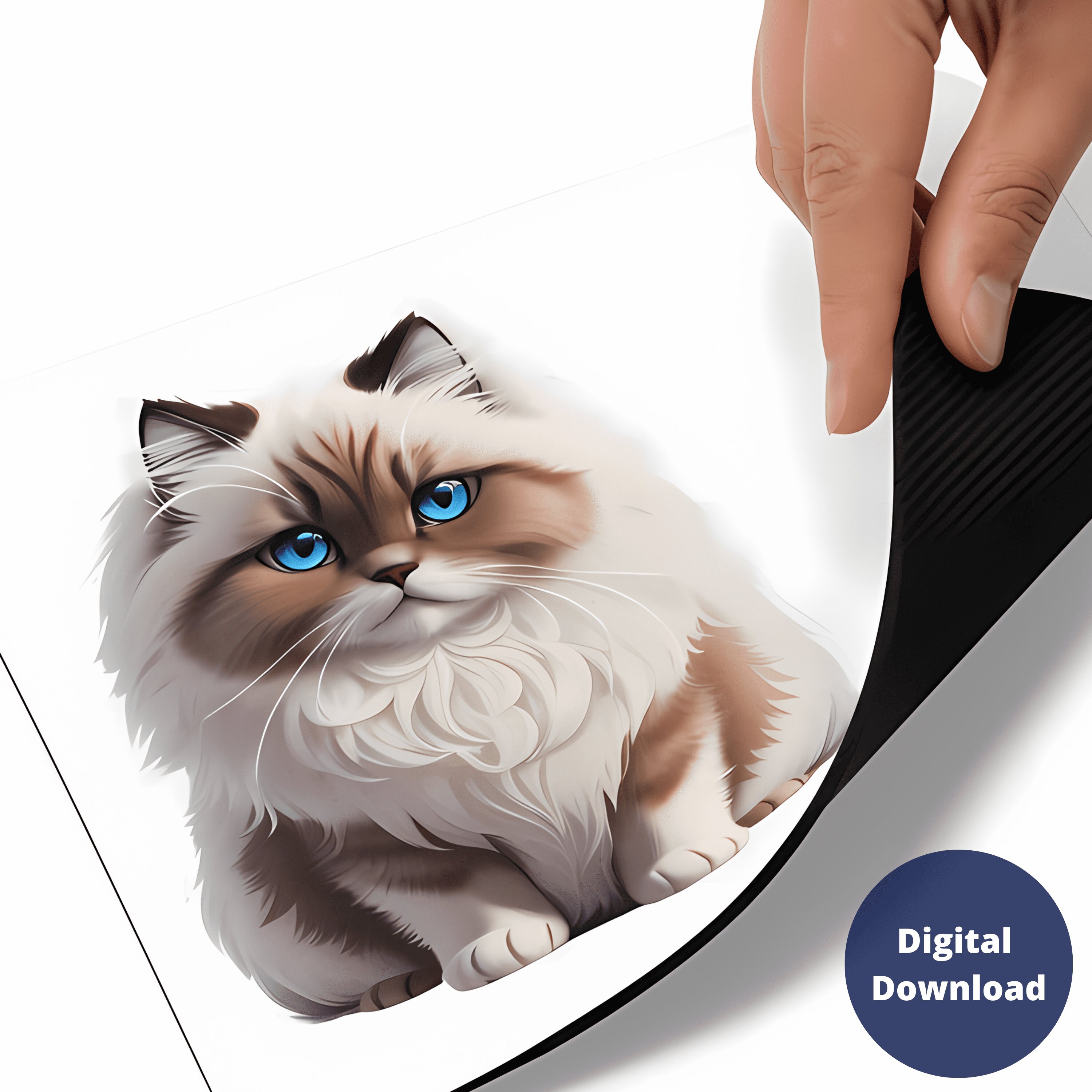 20 Cat Sticker Breeds, Cute Cats, Design, Pet, Cat, PNG, Sticker - Etsy