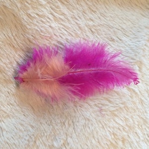 FEATHER BELL Cat Toys!!! Jingle Bell W/feather - Cats Love Them!!! 3 ...