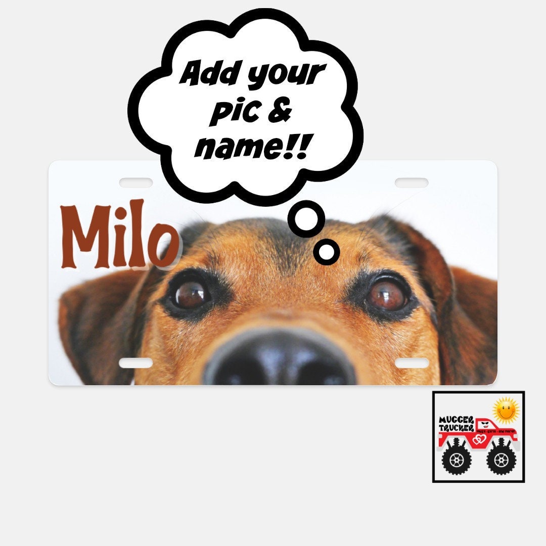 Dog Photo Customized License Plate, Fun Car License Plate, Customized ...