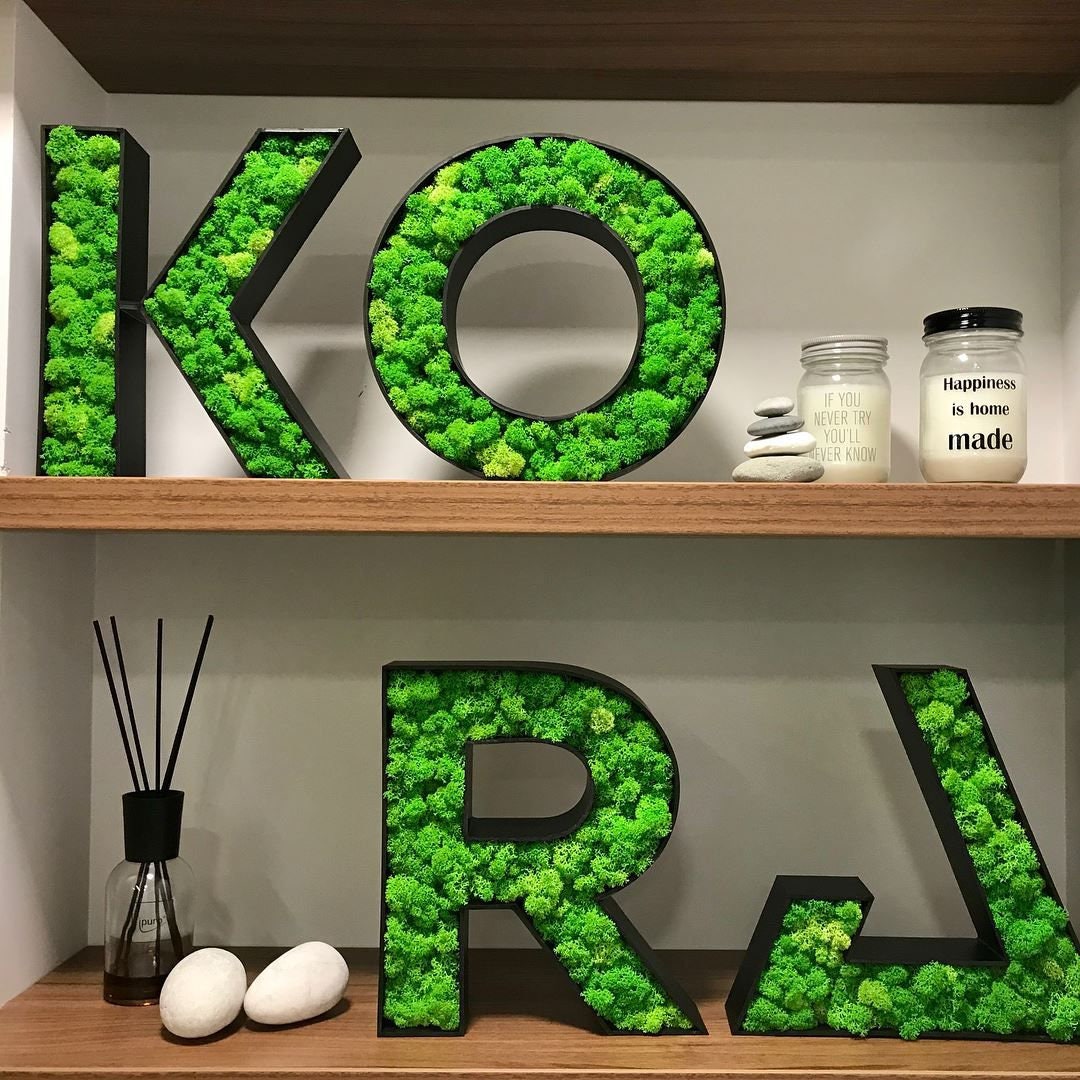 Live Moss Signage , Custom Moss Sign, Metal Letters, Personalized Moss ...