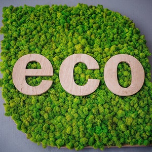 Custom Moss Sign, Metal Letters, Personalized Moss Letters , Minimalist ...