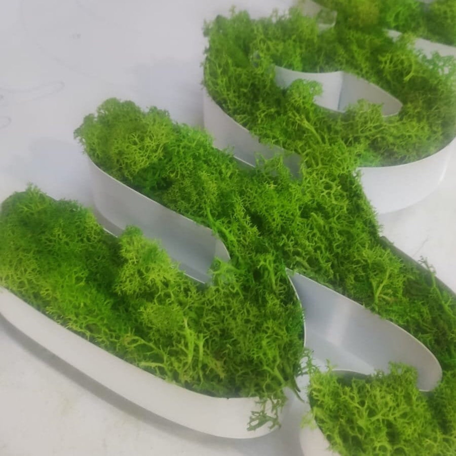 Custom Moss Sign, Personalized Moss Wall Decor, Green Live Moss Sign ...