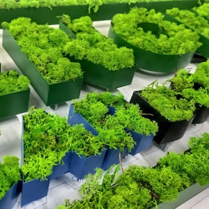 Custom Moss Sign, Metal Letters, Personalized Moss Letters , Minimalist ...