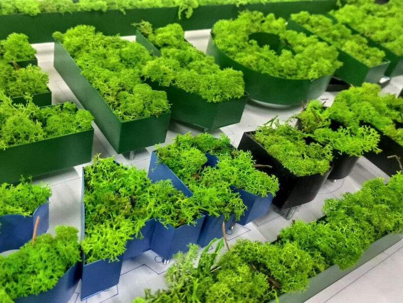 Custom Moss Sign, Personalized Moss Wall Decor, Green Live Moss Sign ...