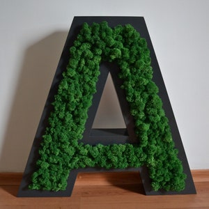 Custom Moss Sign, Personalized Moss Wall Decor, Green Live Moss Sign ...
