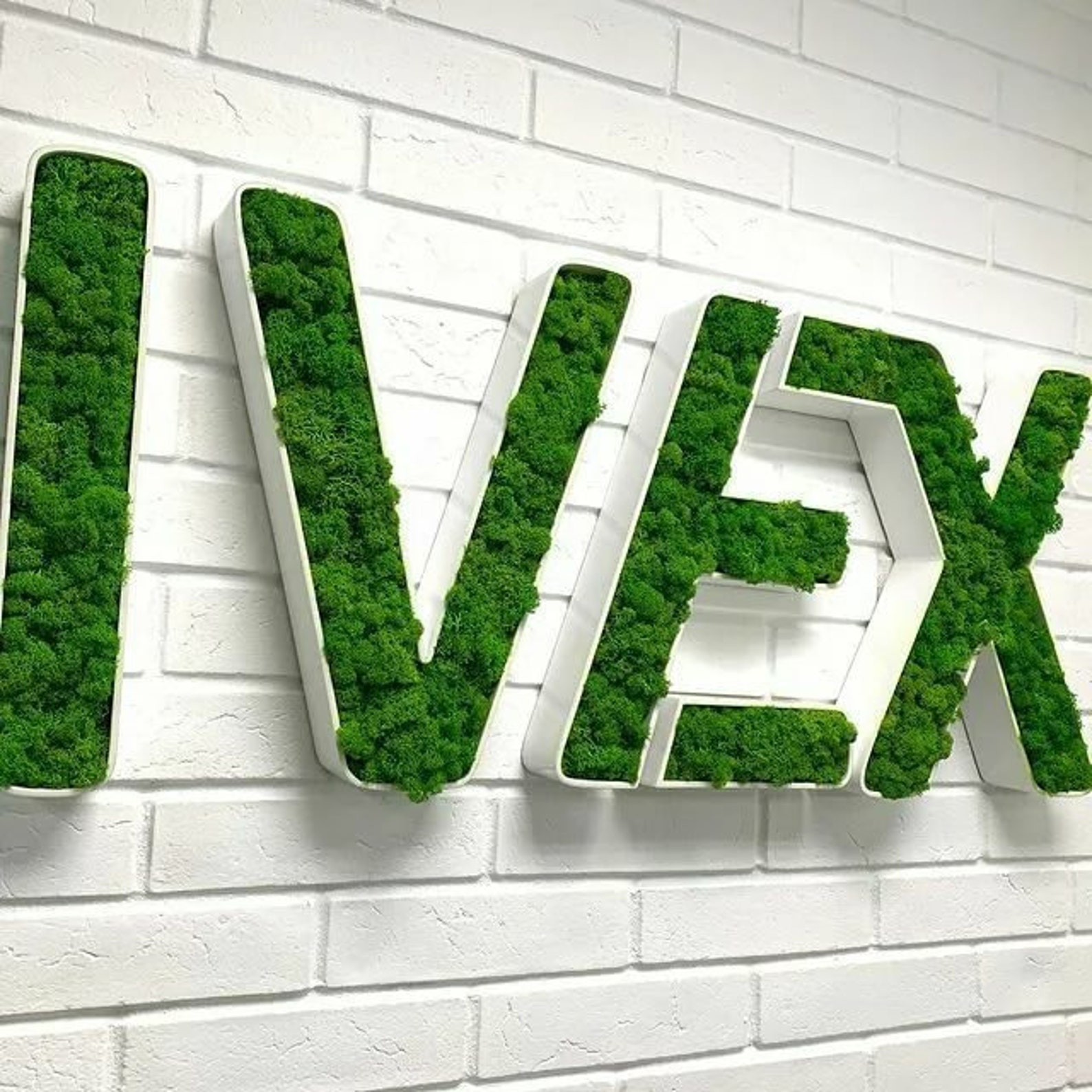 Custom Moss Sign, Metal Letters, Personalized Moss Letters , Minimalist ...