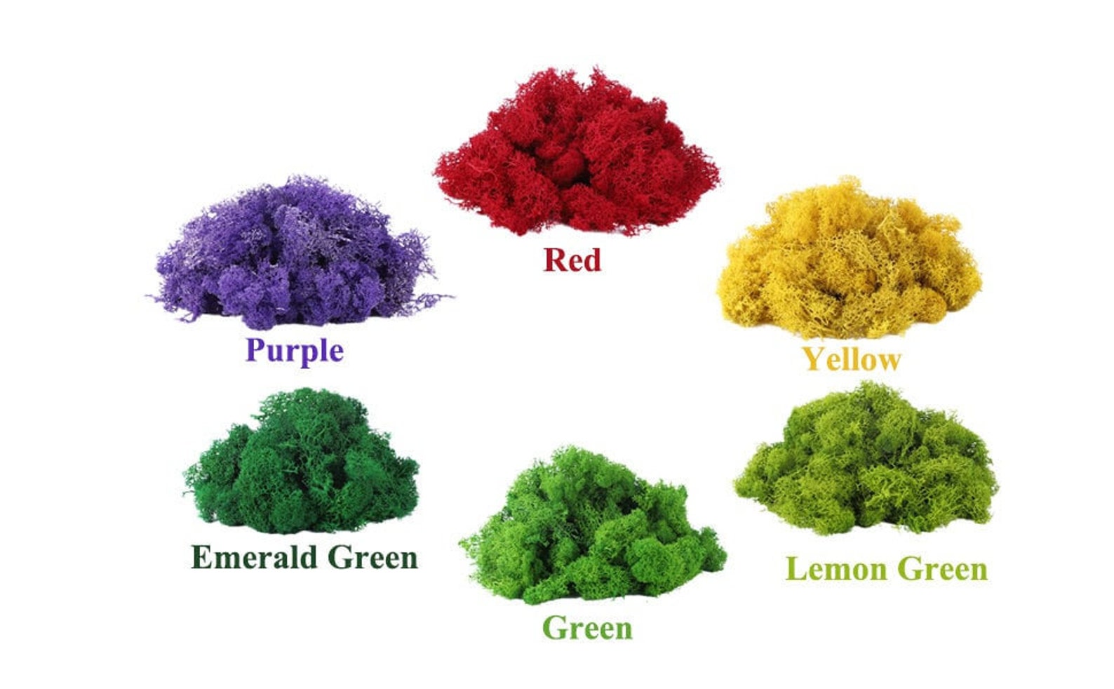 Custom Moss Sign, Personalized Moss Wall Decor, Green Live Moss Sign ...