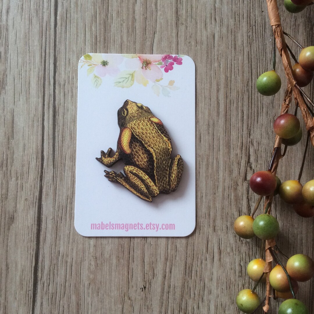 Frog Needle Knack,frog Needle Keeper ,toad Magnets,frog Fridge Magnets ...