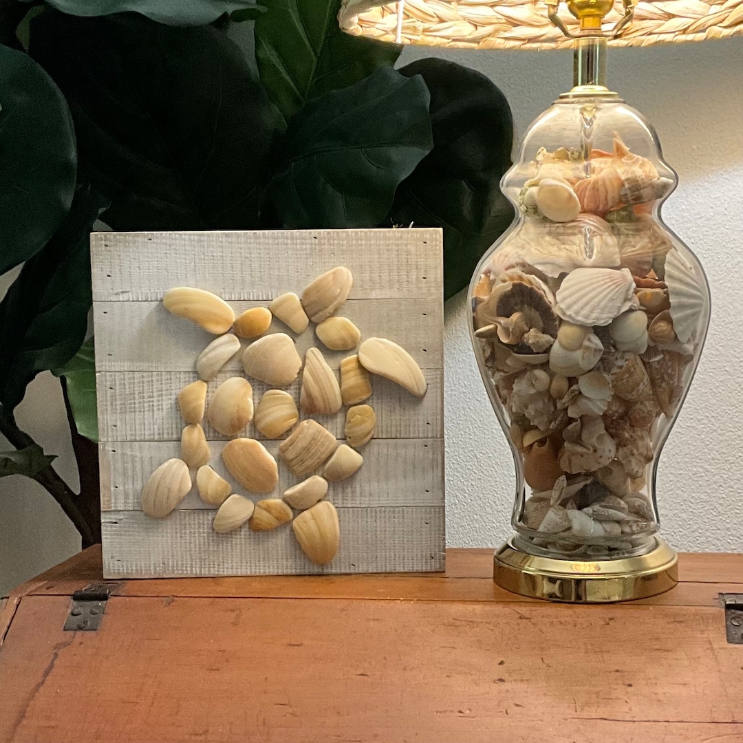 Unique Sea Shell Turtle Wall Art. 10 Inch by 10 Inch X 2 Inch Shadow Box Shell Art. Sea Turtle ...