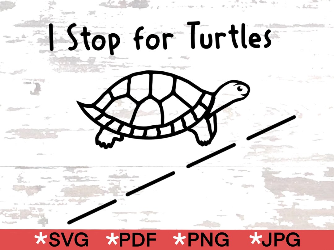 Stop for Turtles Digital Download File for Cricut. 4 Files Included ...