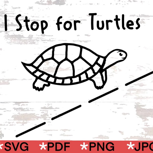 Turtle Cricut - Etsy