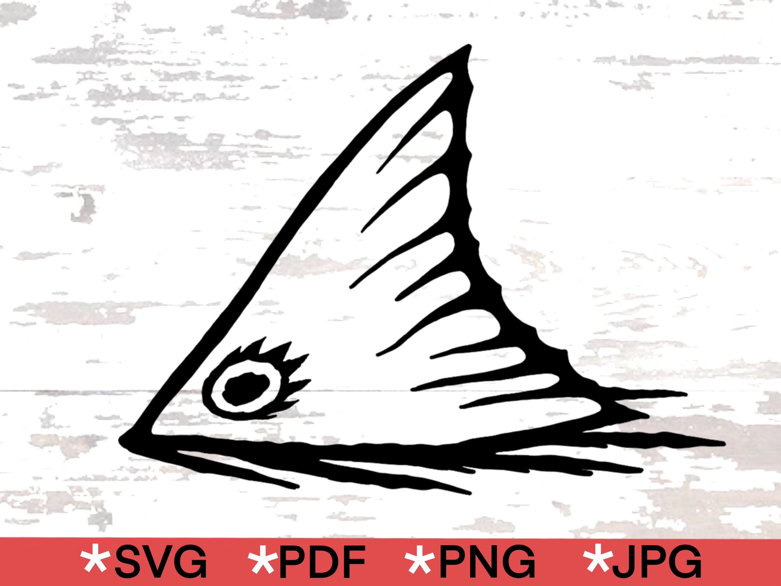 Redfish Tail Drawing