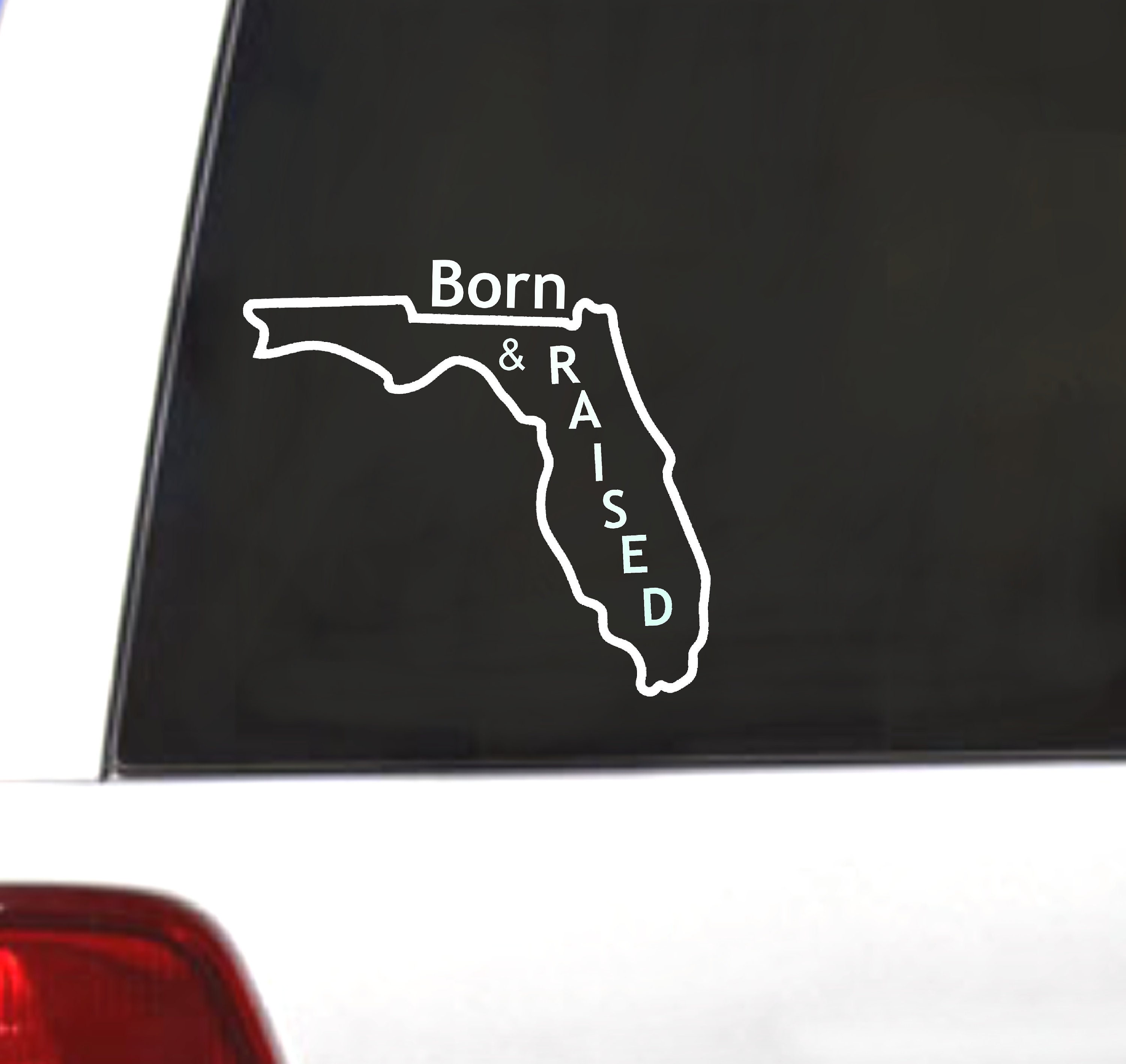 Florida Native Born and Raised Car Decal | Etsy