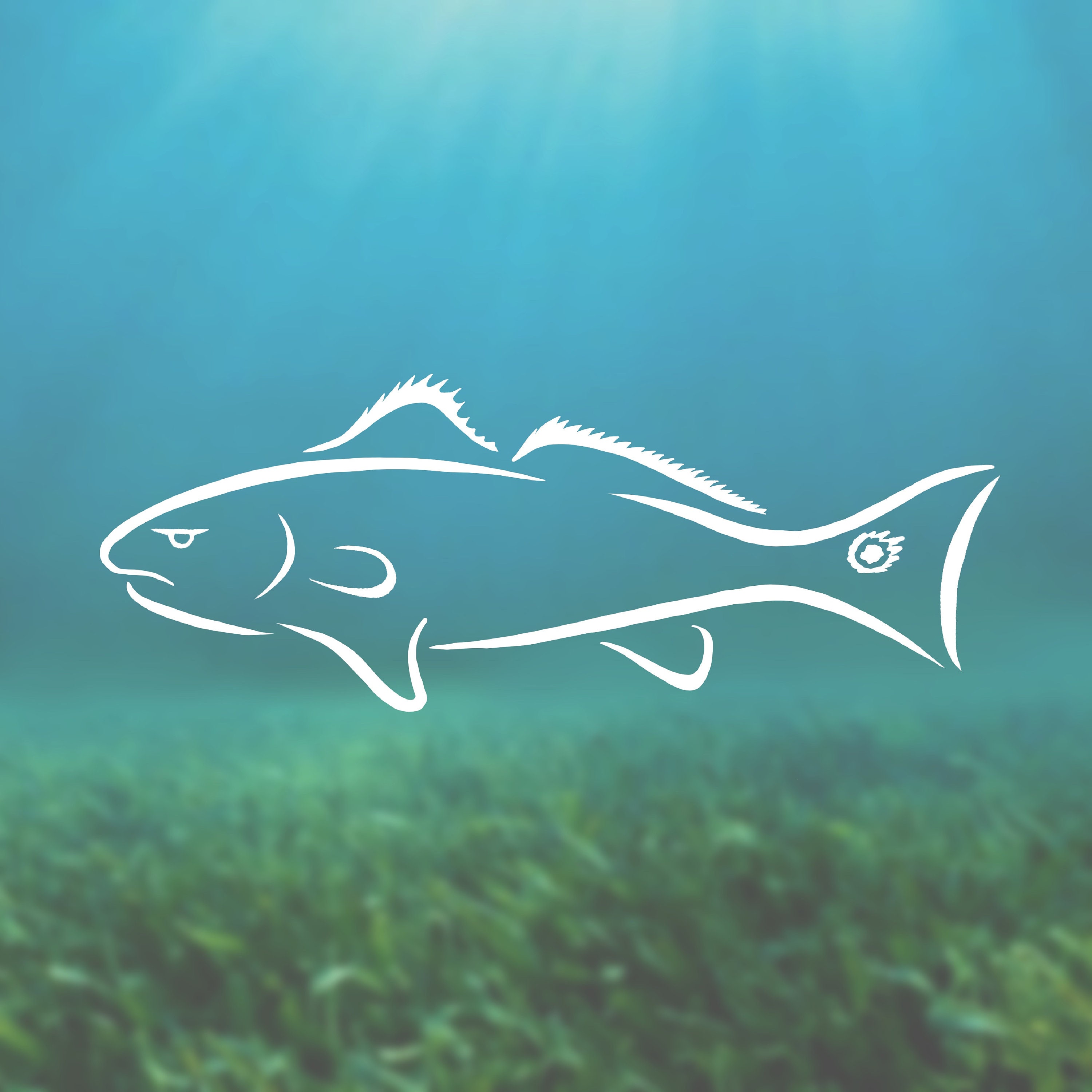 Redfish Decal
