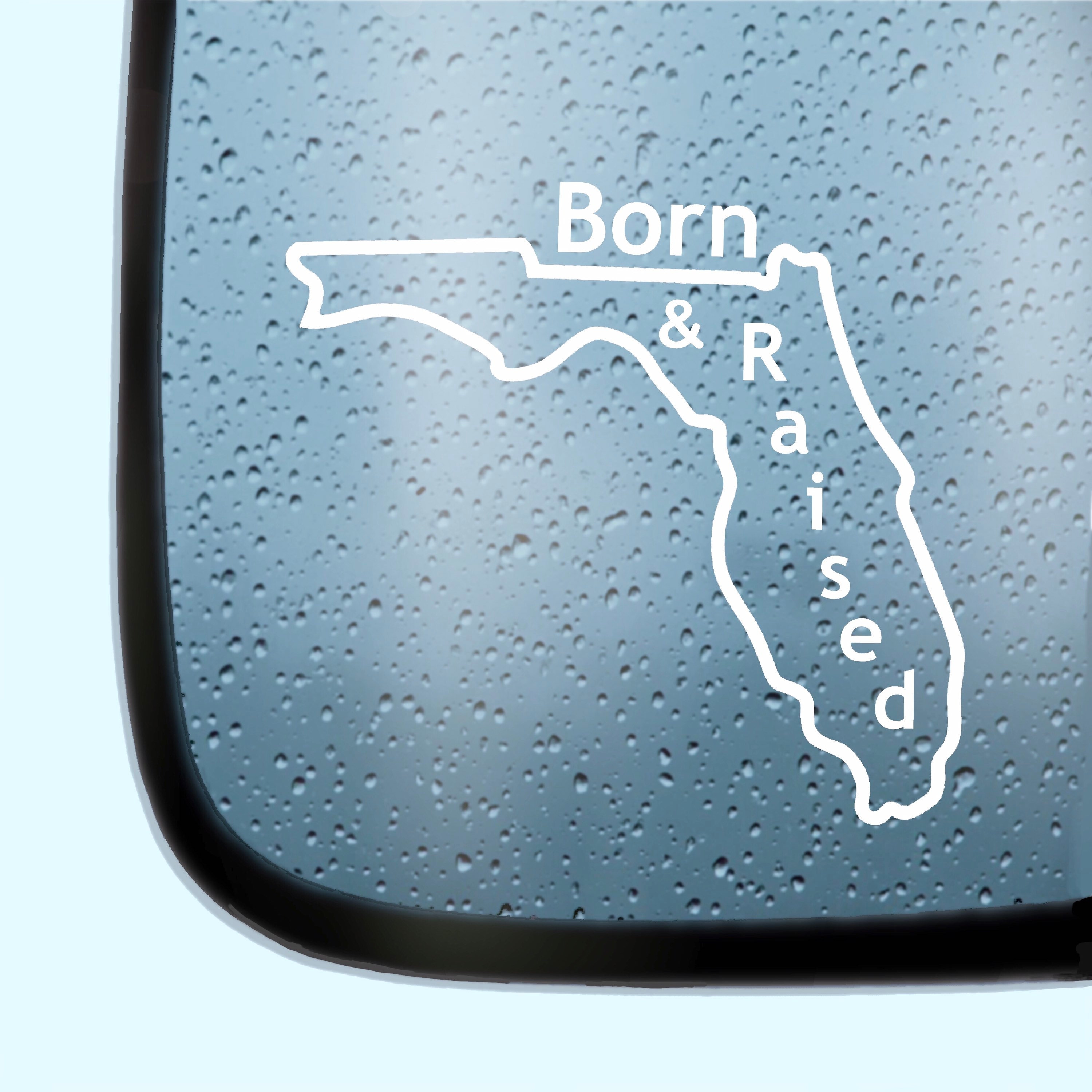 Florida Native Born and Raised Car Decal | Etsy