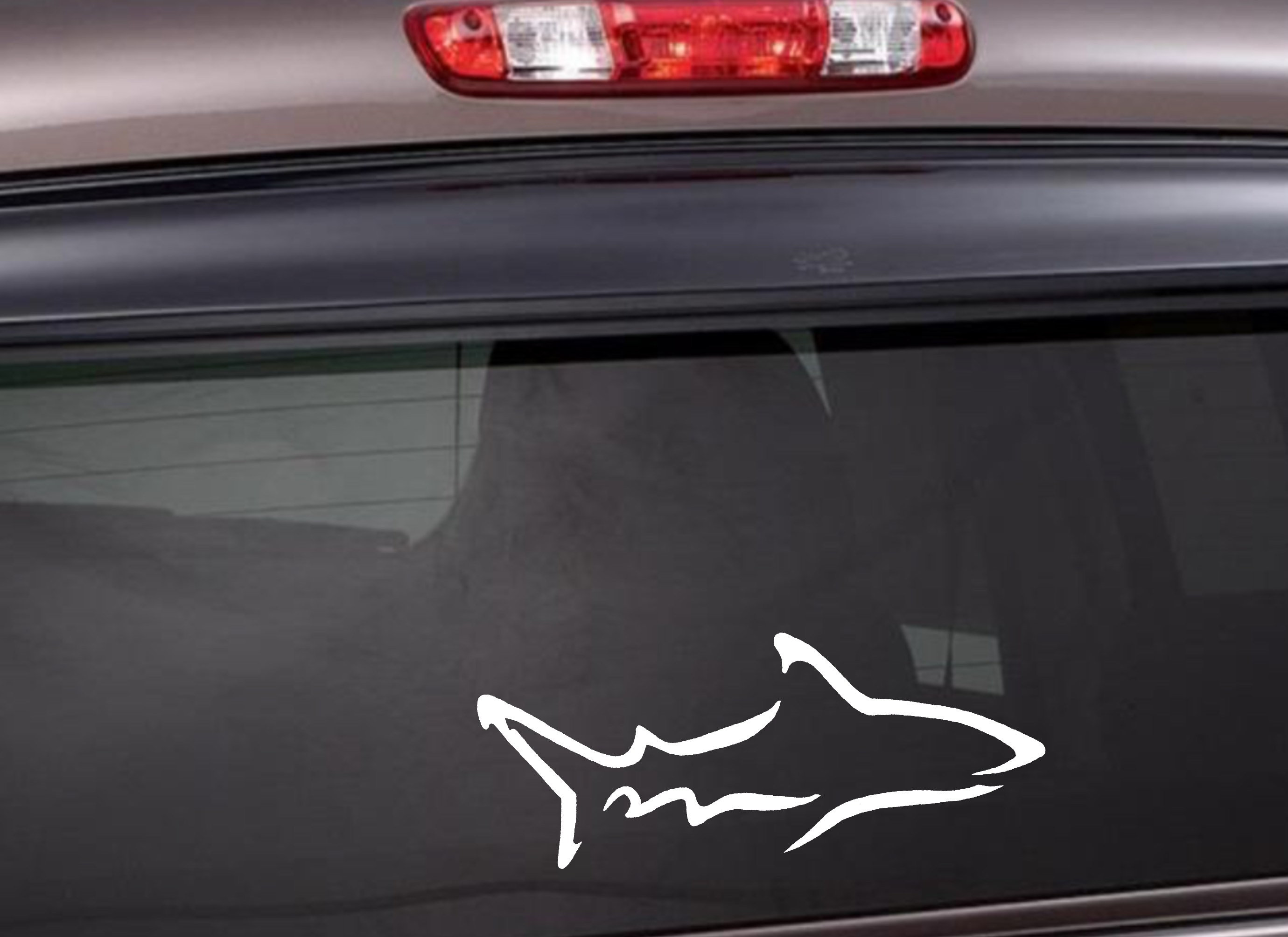 Shark Decal for Car Truck Laptop or Water Bottle. Comes in - Etsy UK