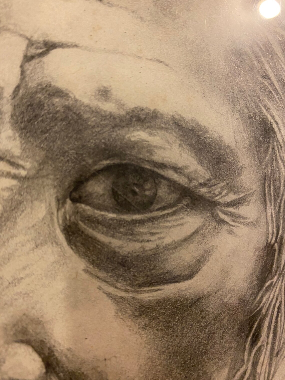 Beautiful Original Pencil Drawing by Illustrator Kathi Ember | Etsy