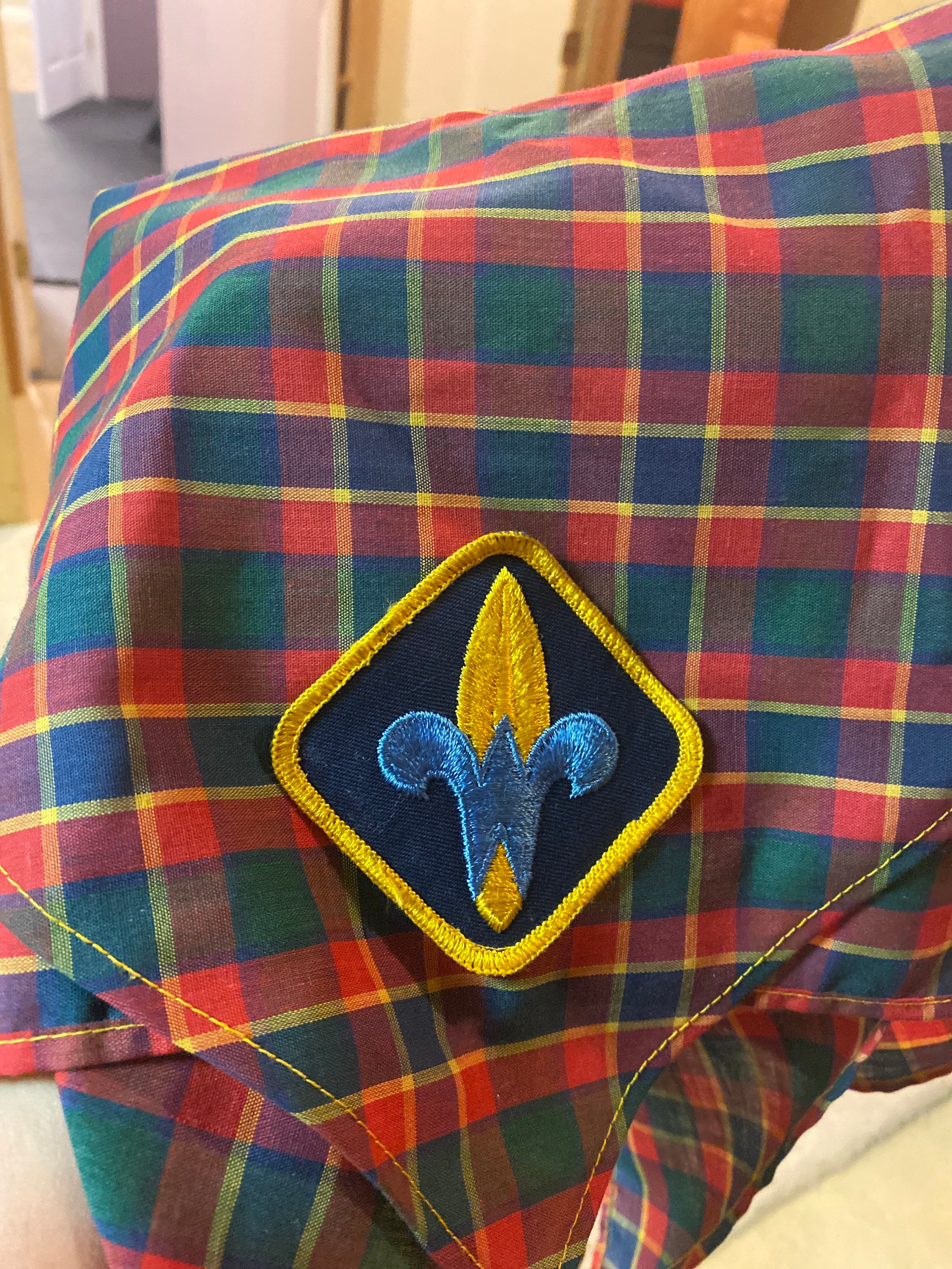 Boy Scouts webelo neckerchief Memorabilia Art & Collectibles etna.com.pe