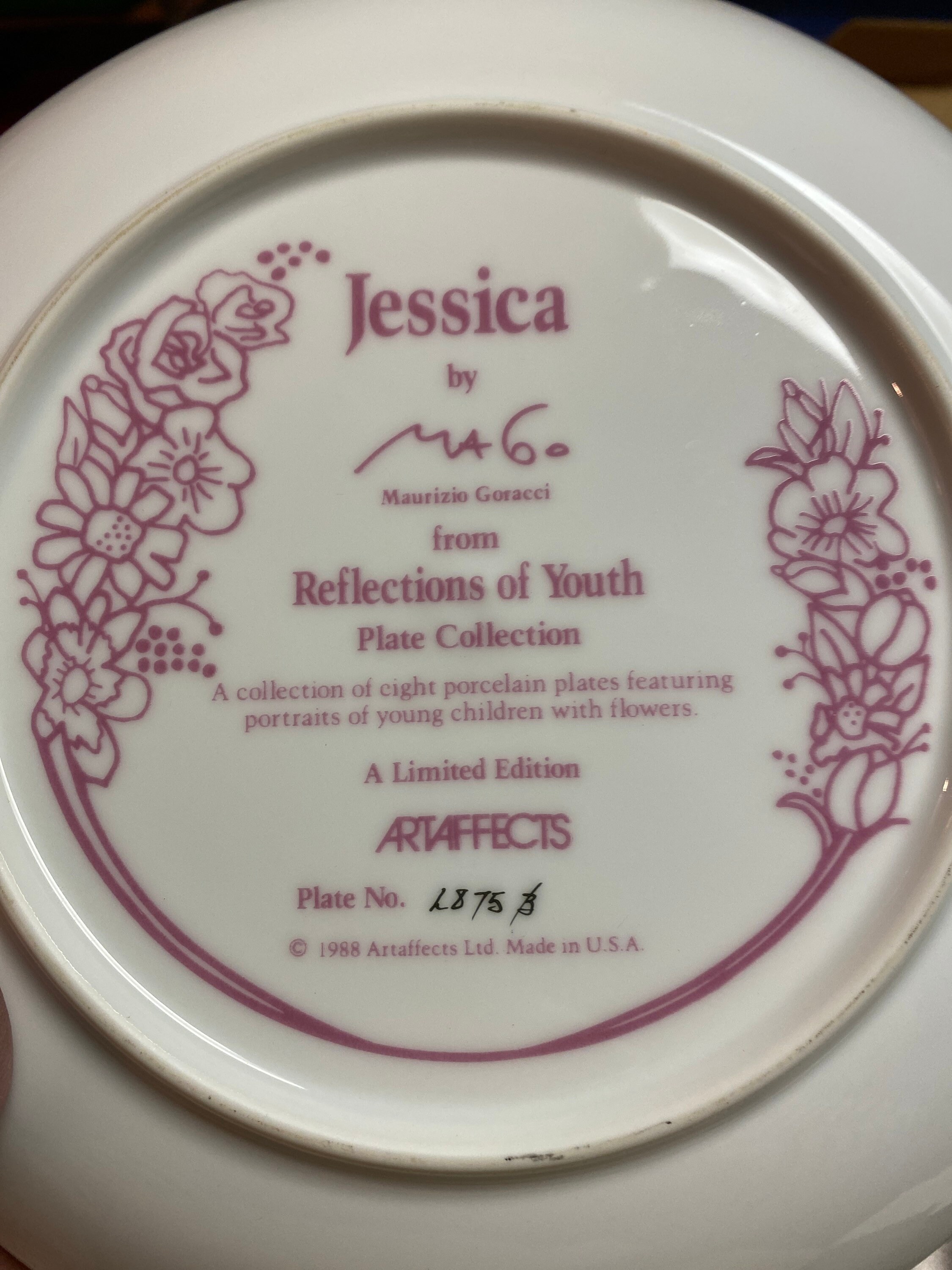 Reflections of Youth Plate - Etsy