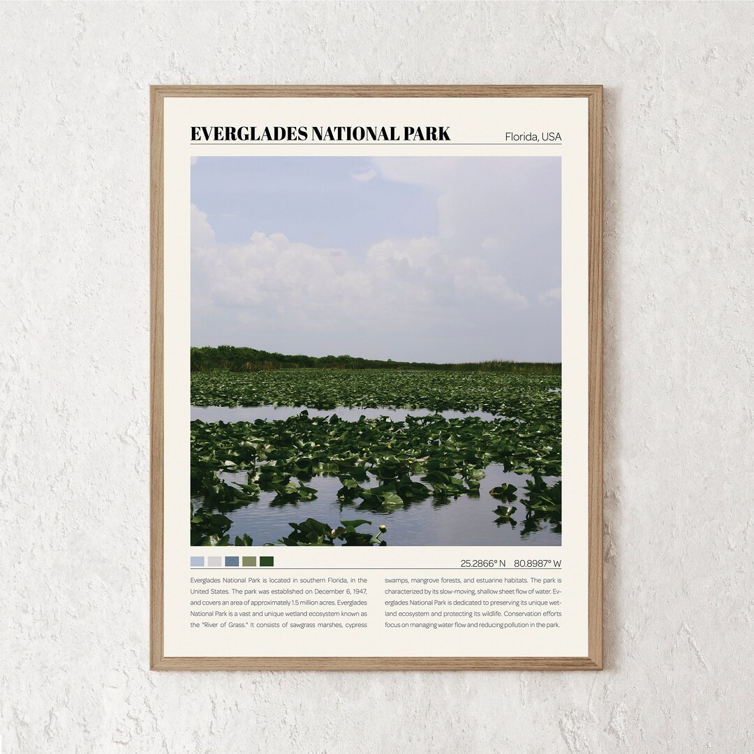 Everglades National Park Print | Everglades Wall Art | Everglades ...