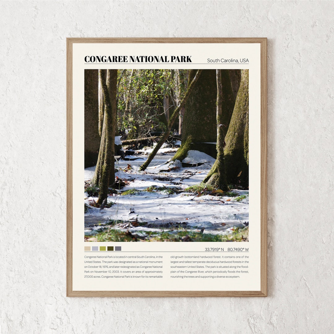 Congaree National Park Print | Congaree Wall Art | Congaree National ...
