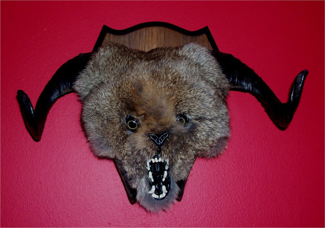 Callisto Bear Goddess Familiar Taxidermy Gaff - Etsy