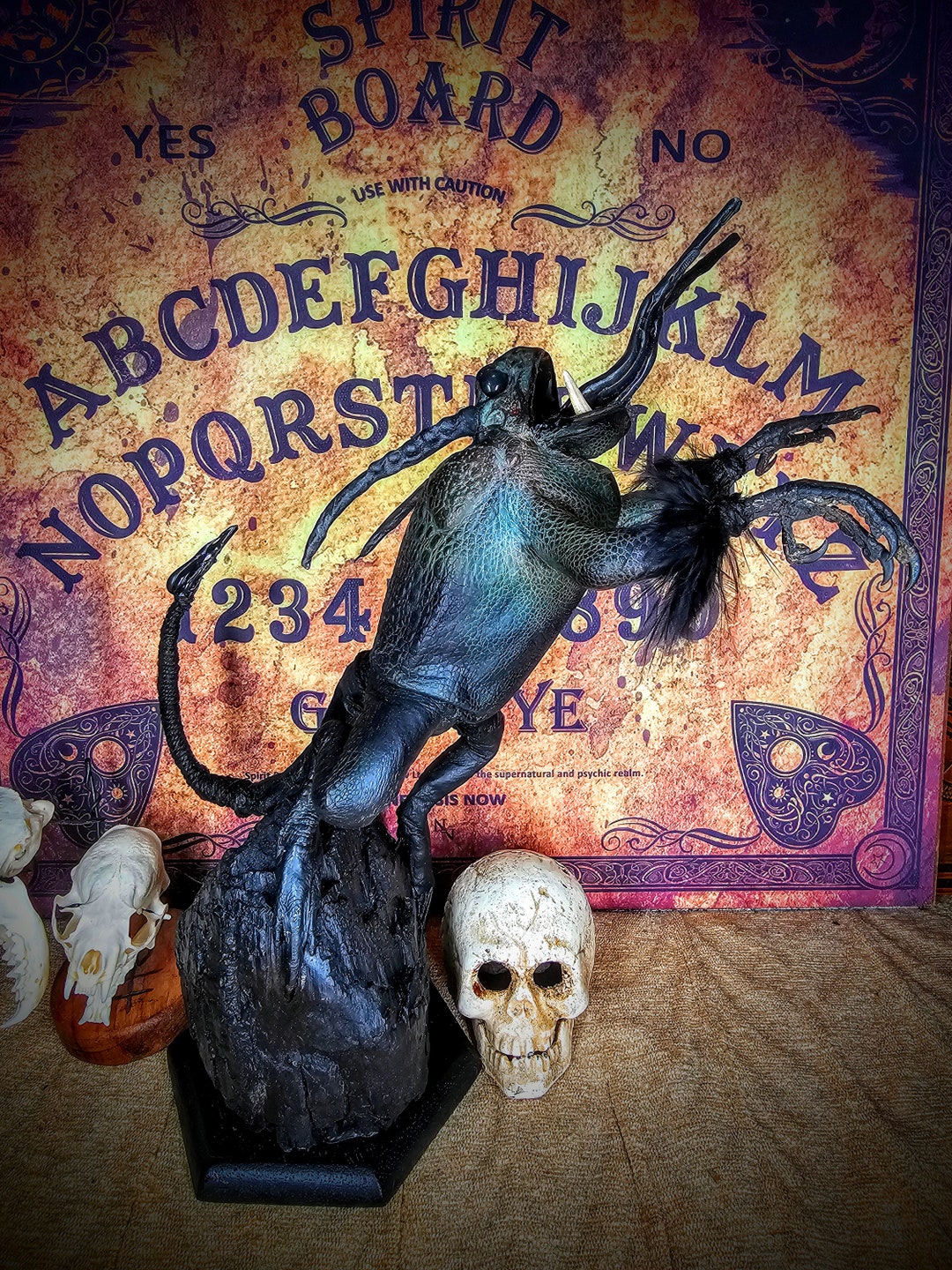 Wall Hangable Wicca Familiar Cane Toad Rogue Taxidermy - Etsy