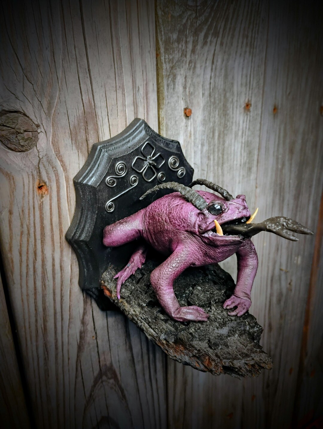 Wicca Familiar Cane Toad Rogue Taxidermy Gaff - Etsy