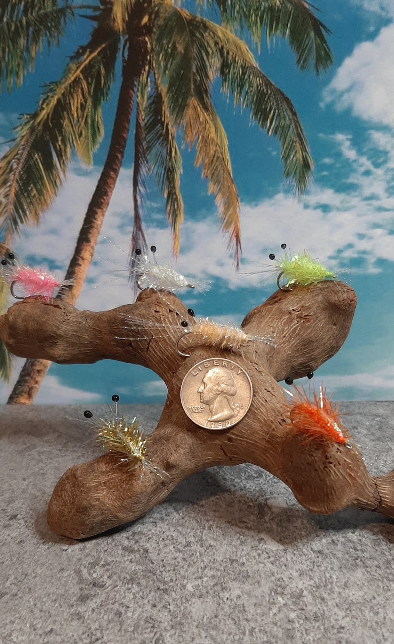 Crystal Shrimp: Snook/sea Trout Fly - Etsy