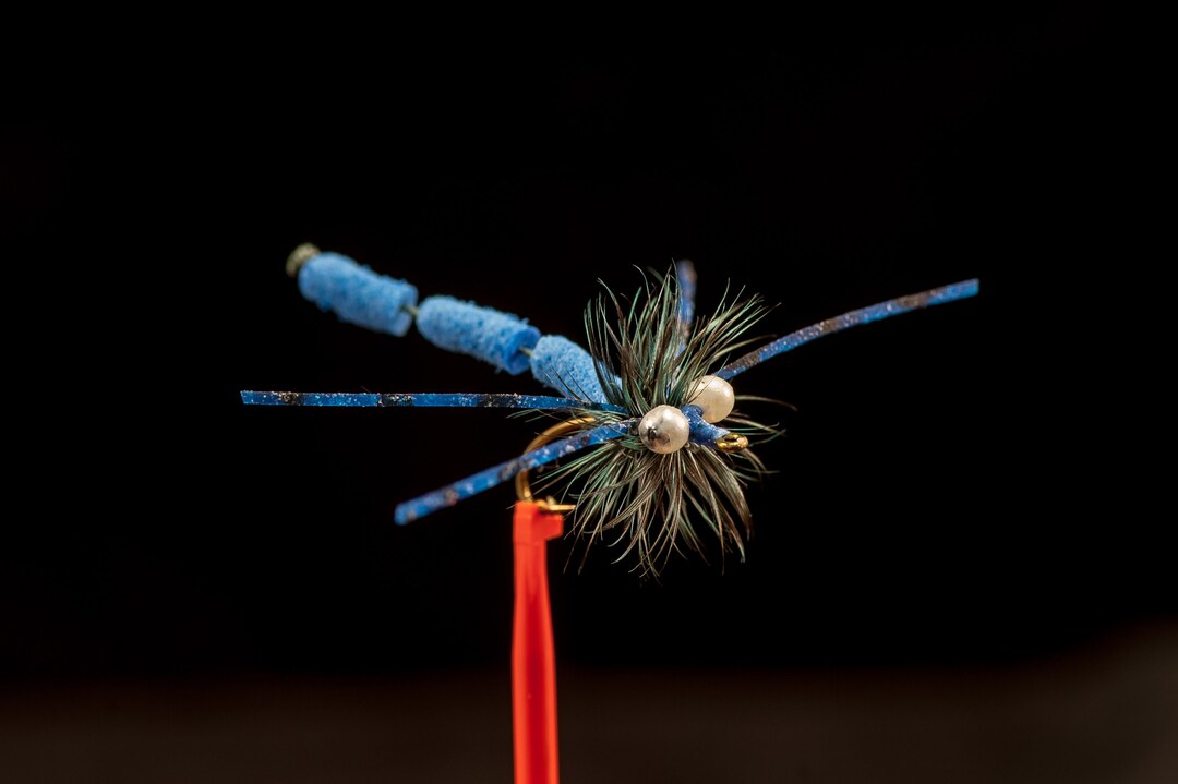 Foam Segmented Dragon - Etsy