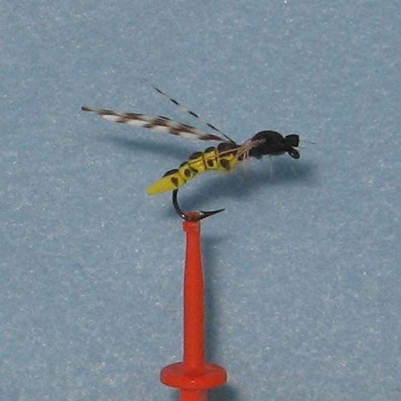 Foam Bees & Wasps: Variety of Styles Available - Etsy