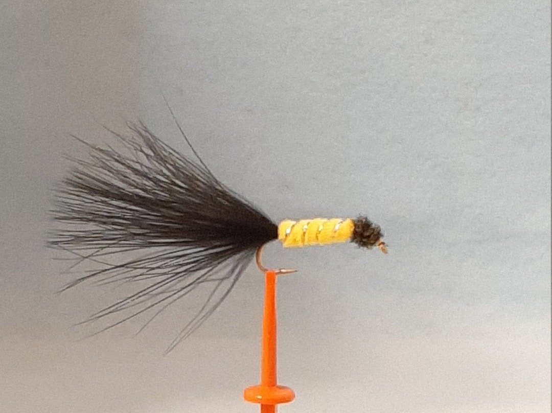 Trout Wet Fly 37: Dog Nobbler Fly - Etsy